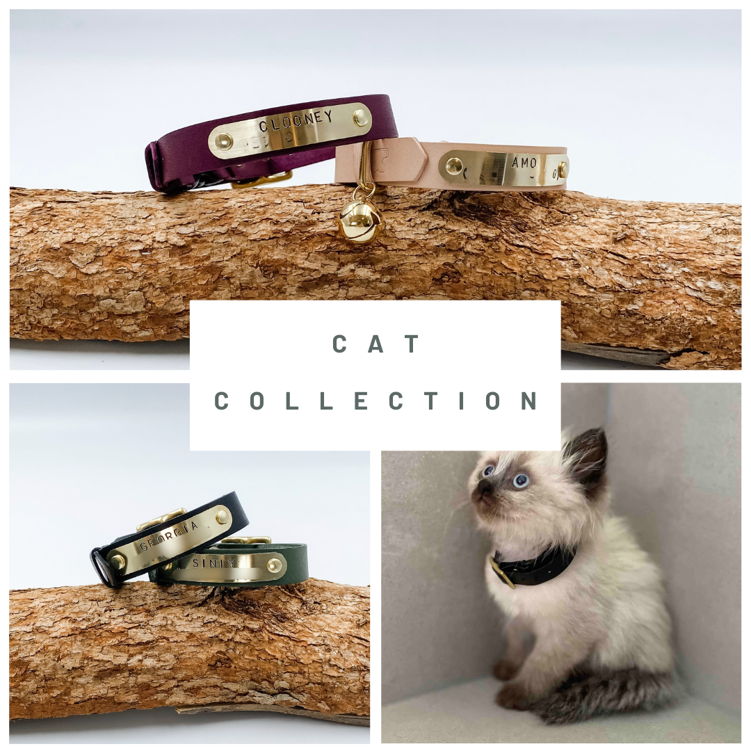 Custom Cat Collars & Leads | NZ Made – Kinfolk Leather
