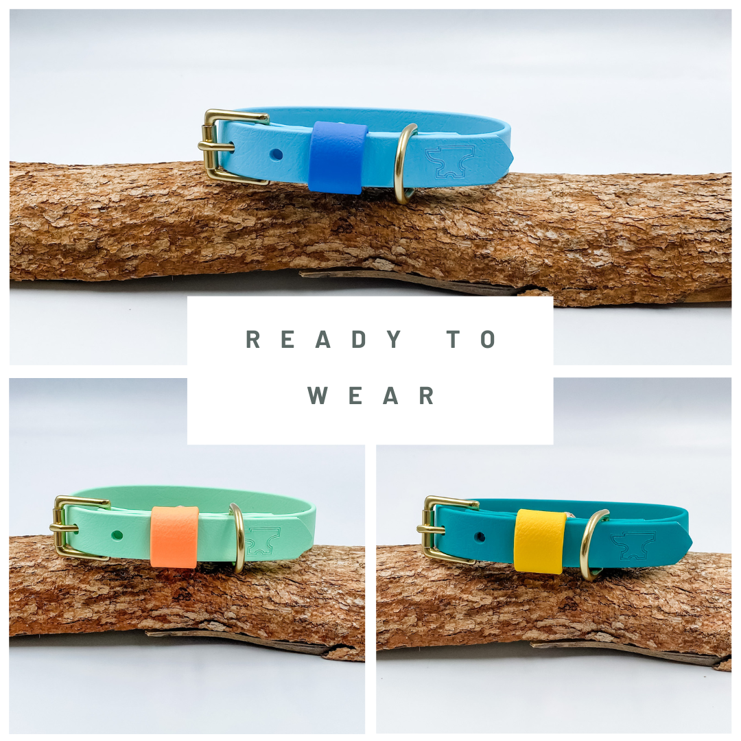 Ready to Wear BioThane® Dog Collars NZ – Kinfolk Leather