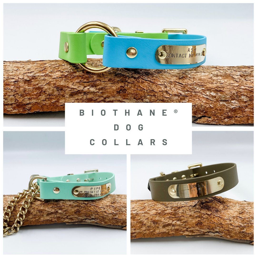 BioThane® Dog Collar NZ | Waterproof | Custom-Sized – Kinfolk Leather