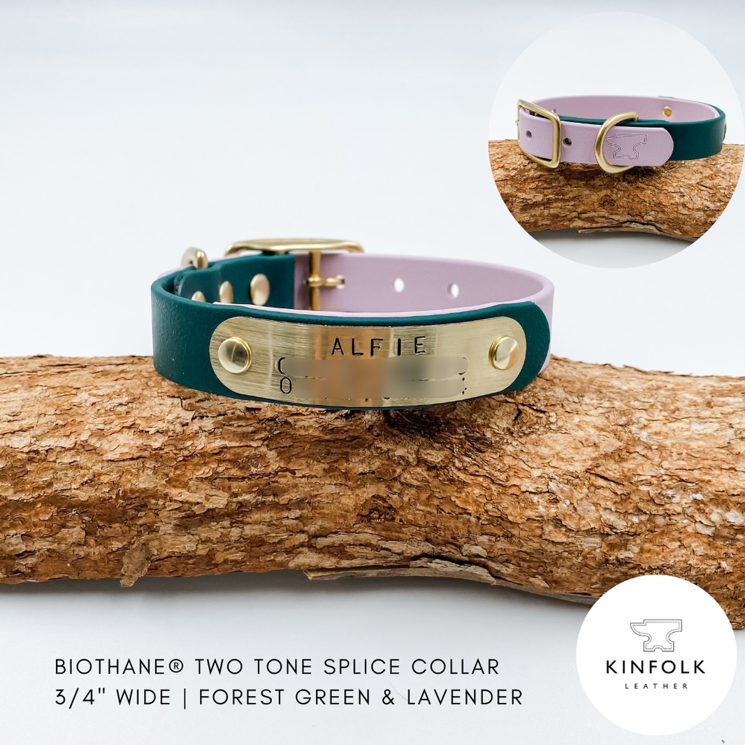 BioThane® Dog Collar NZ | Waterproof | Custom-Sized – Kinfolk Leather