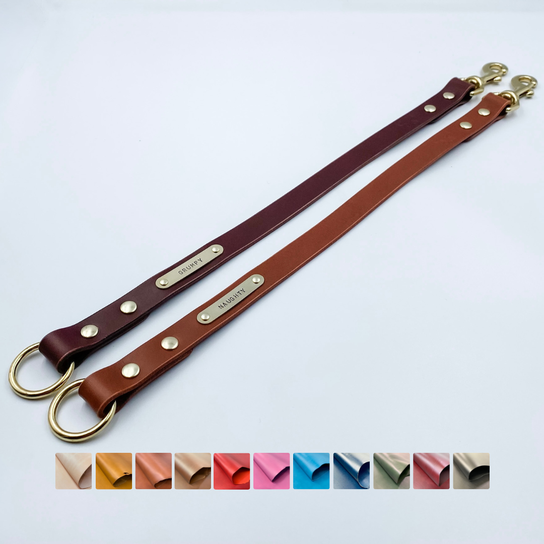 Leather Dog Lead Extension – Handmade in NZ – Kinfolk Leather
