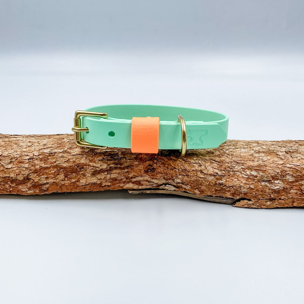 BioThane® Dog Collars NZ | Waterproof & Custom – Kinfolk Leather