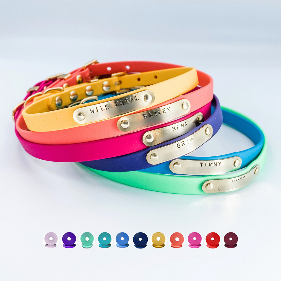 BioThane® Dog Collars NZ | Waterproof & Custom – Kinfolk Leather