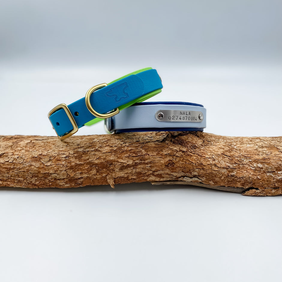 BioThane® Dog Collar NZ | Waterproof | Custom-Sized – Kinfolk Leather